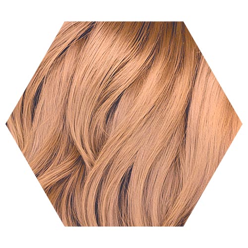 Haarfarbe Hellblond-Mandel 9.3 - WECOLOUR