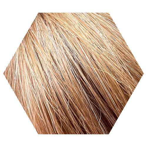 Haarfarbe Hellblond Mandel 9.37 - WECOLOUR