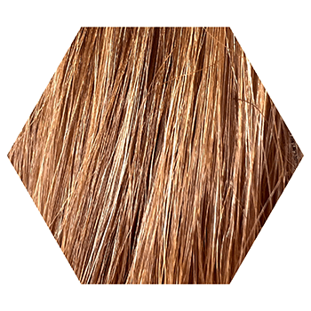 Haarfarbe Blond Mandel 8.37 - WECOLOUR